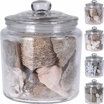 Decorative Shells In Jar - Ace Hardware Maldives