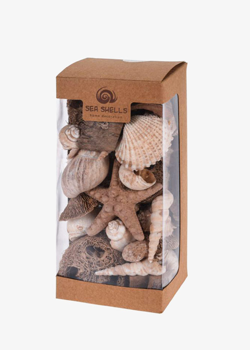 Sea Shells Home Decoration 9 x 8 x 20CM - Ace Hardware Maldives