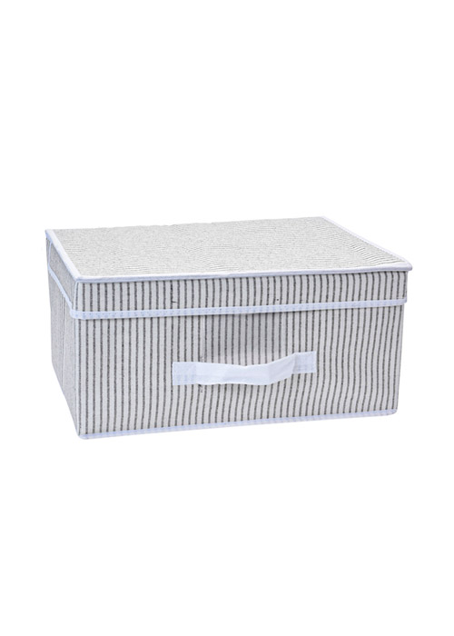 Storage Box With Lid - 39 x 29 x 19 cm - Ace Hardware Maldives