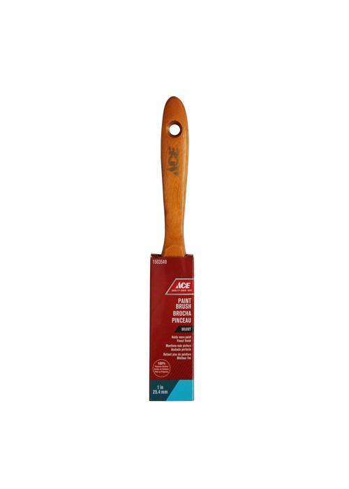 ACE Select Paint Brush 1 Inch - Ace Hardware Maldives