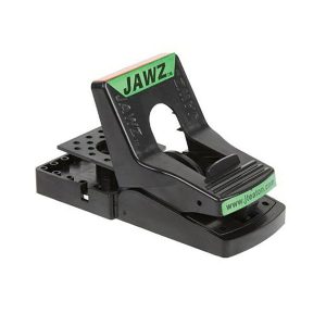 JAWZ PRO MOUSE TRAP 2PK - Ace Hardware Maldives